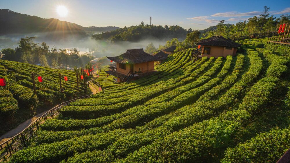 Kinh nghiệm du lịch Mae Hong Son, Thái Lan